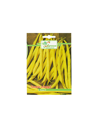 FASOLE BERGGOLD 100GR - Fasole oloagă cu păstaia galbenă rotundă