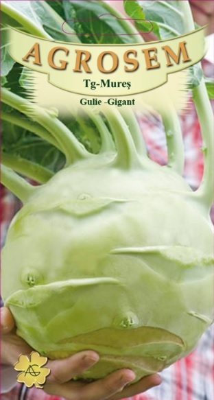 Gulie - Gigant - Legume de grădină | PlantFarm.ro
