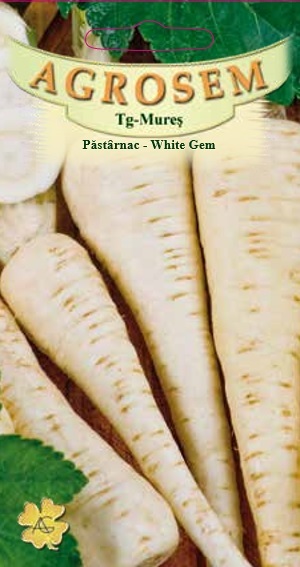 Păstârnac -White Gem: soi de păstârnac cu rădăcini albe și netede ...