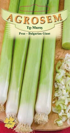 Praz -Bulgarian Giant: soi de praz cu frunze viguroase și tulpini ...
