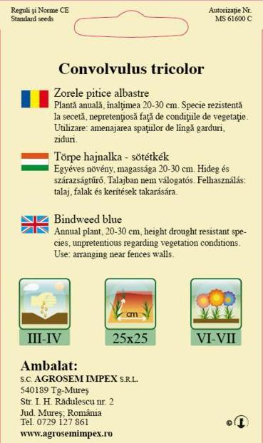 Zorele pitice albastre - Semințe de zorele pentru cultivarea unei ...
